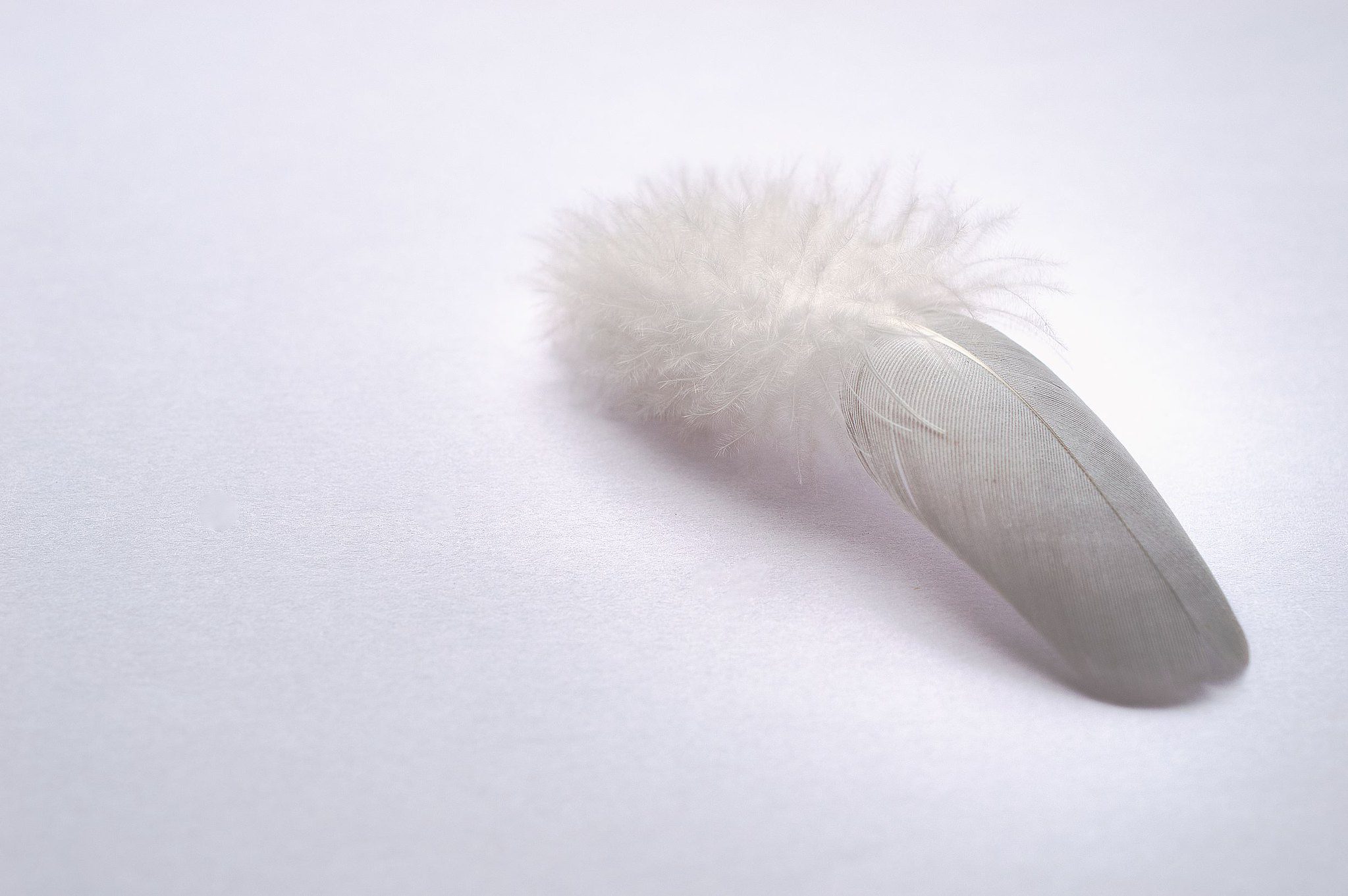 Tutor Competition Go Minimal - Results July 2020 - Institute of Photography