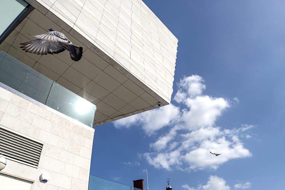 The Art of the Freeze Frame - Institute of Photography