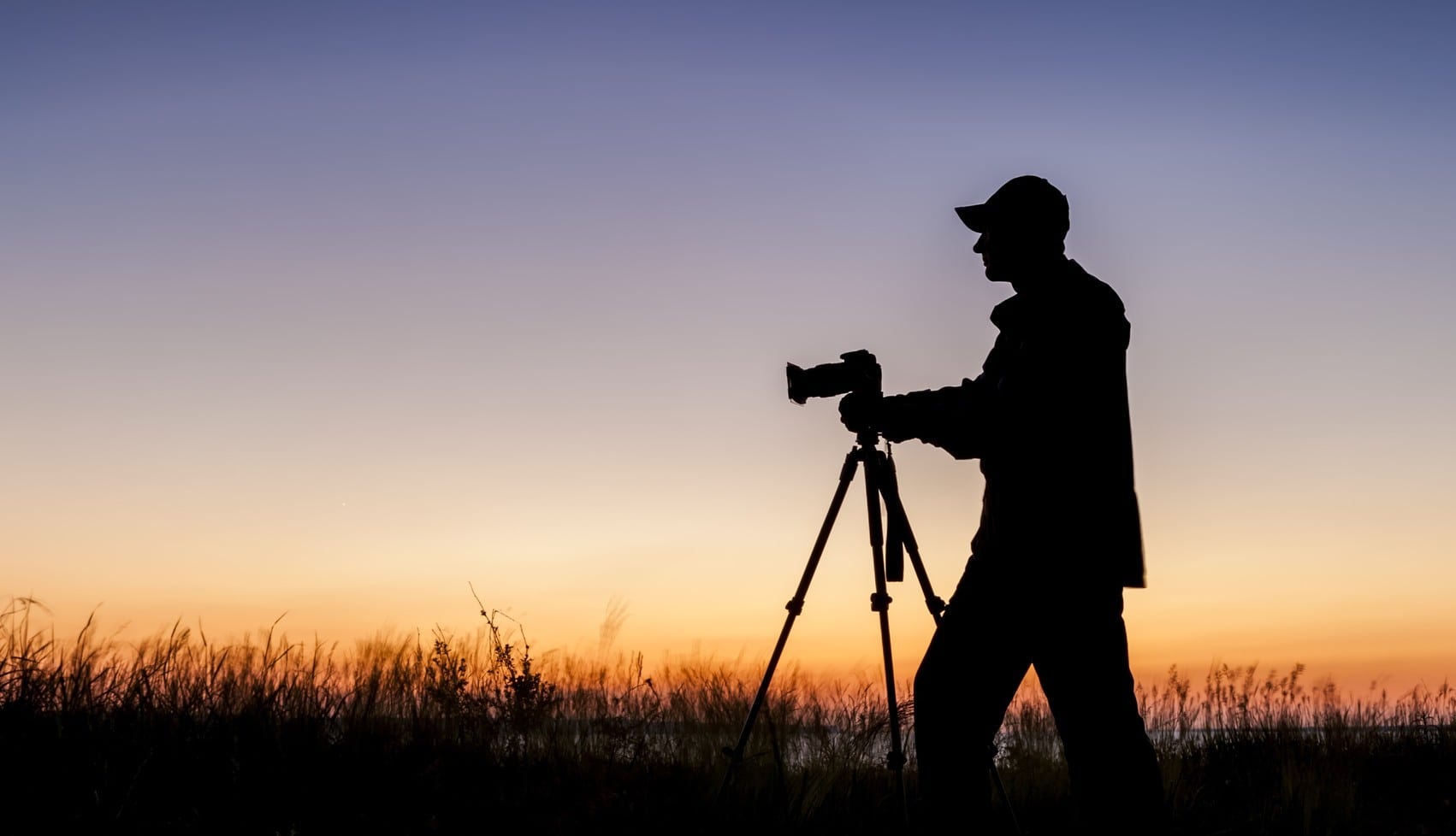 How To Photograph Wildlife V 5 Institute Of Photography
